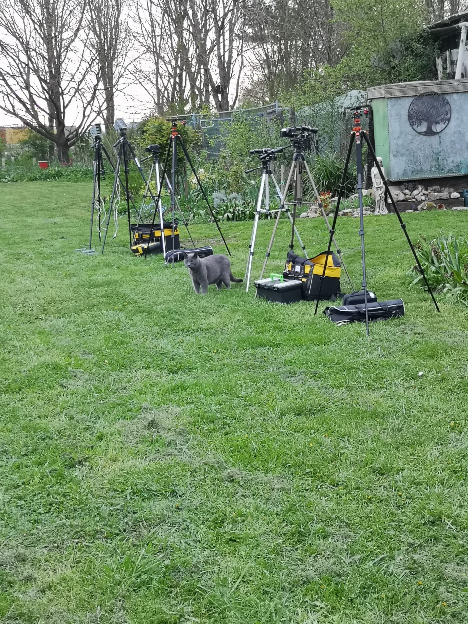 Protected Bat Surveys Cambridgeshire & Peterborough