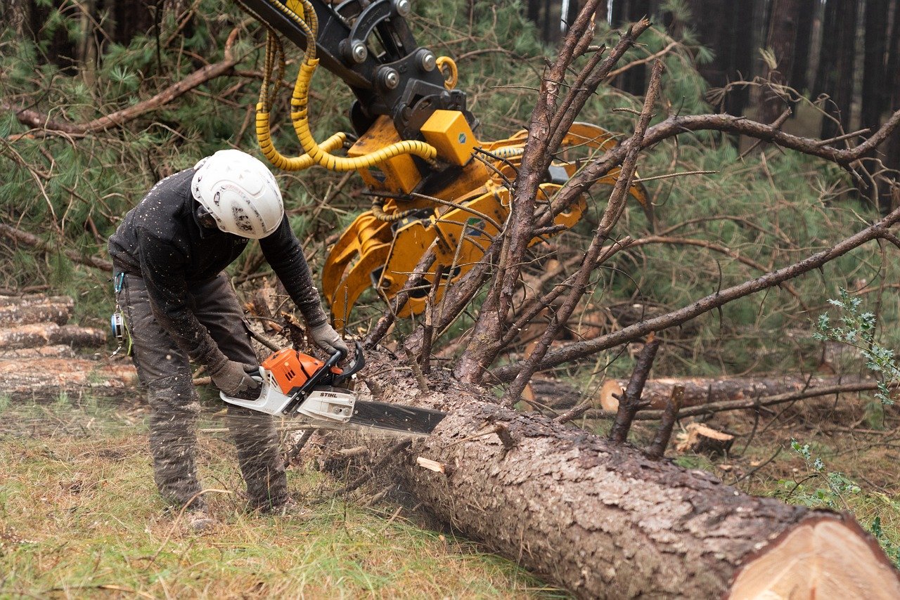 Commercial Tree Surgeon Cambridgeshire & Peterborough